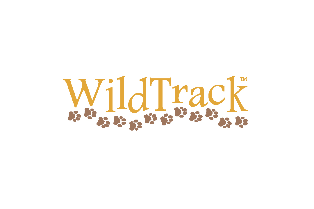 Wild Track - Digital Pioneers Network